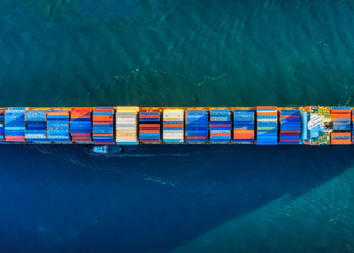 NVOCC Qualification Import Freight Forwarder With Warehousing To Trieste